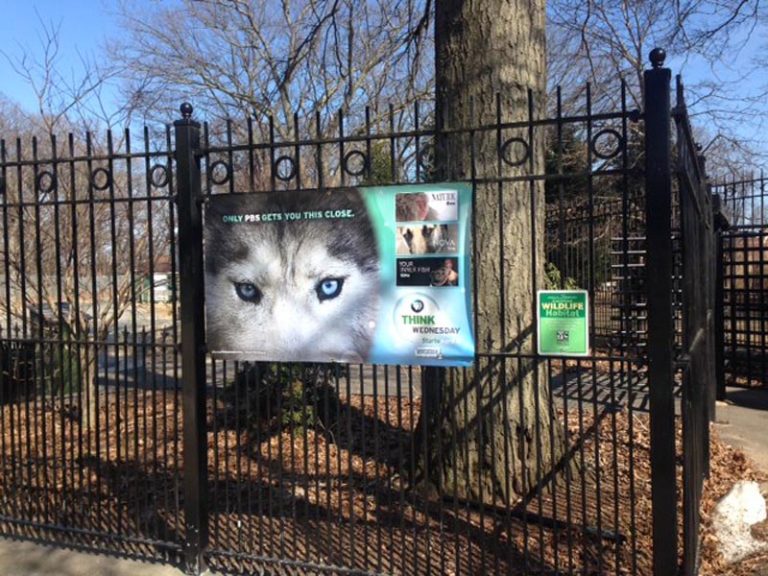 Zoos and Aquariums Advertising – All Points Media