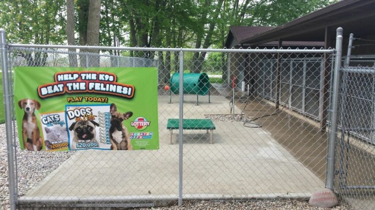 Dog Park Advertising Media Campaign - All Points Media