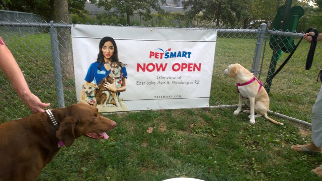 Dog Park Advertising Media Campaign - All Points Media